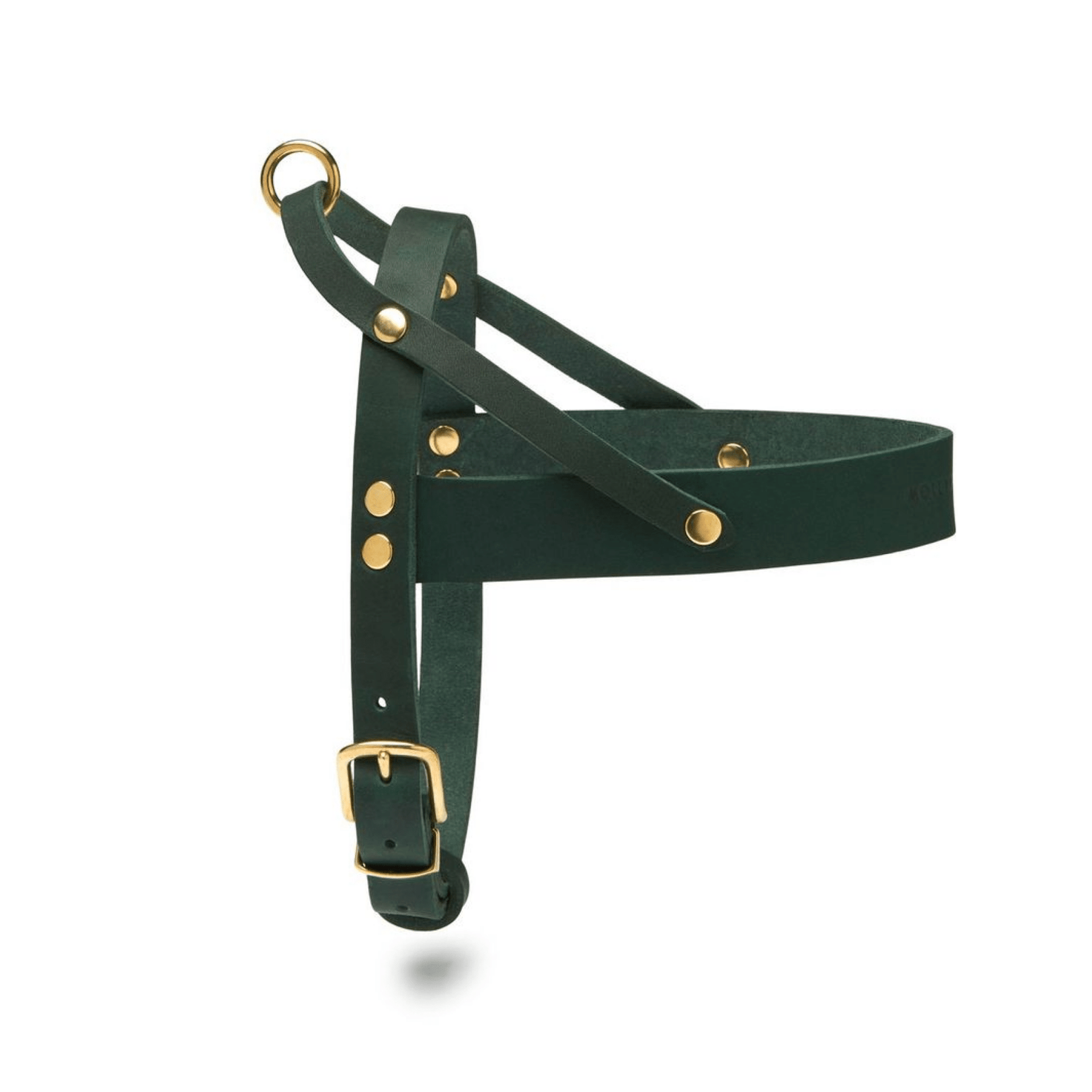 Molly and Stitch Butter Leather Harness – OhMyDog&Co
